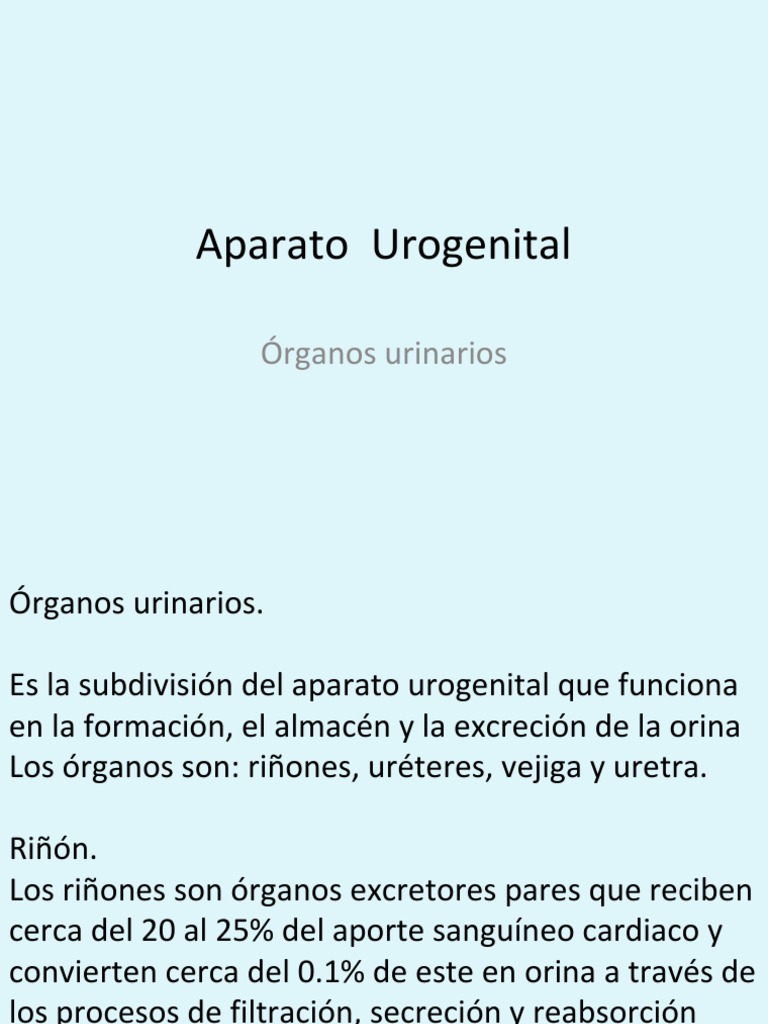 Aparato Urogenital | PDF | Riñón | Vejiga urinaria