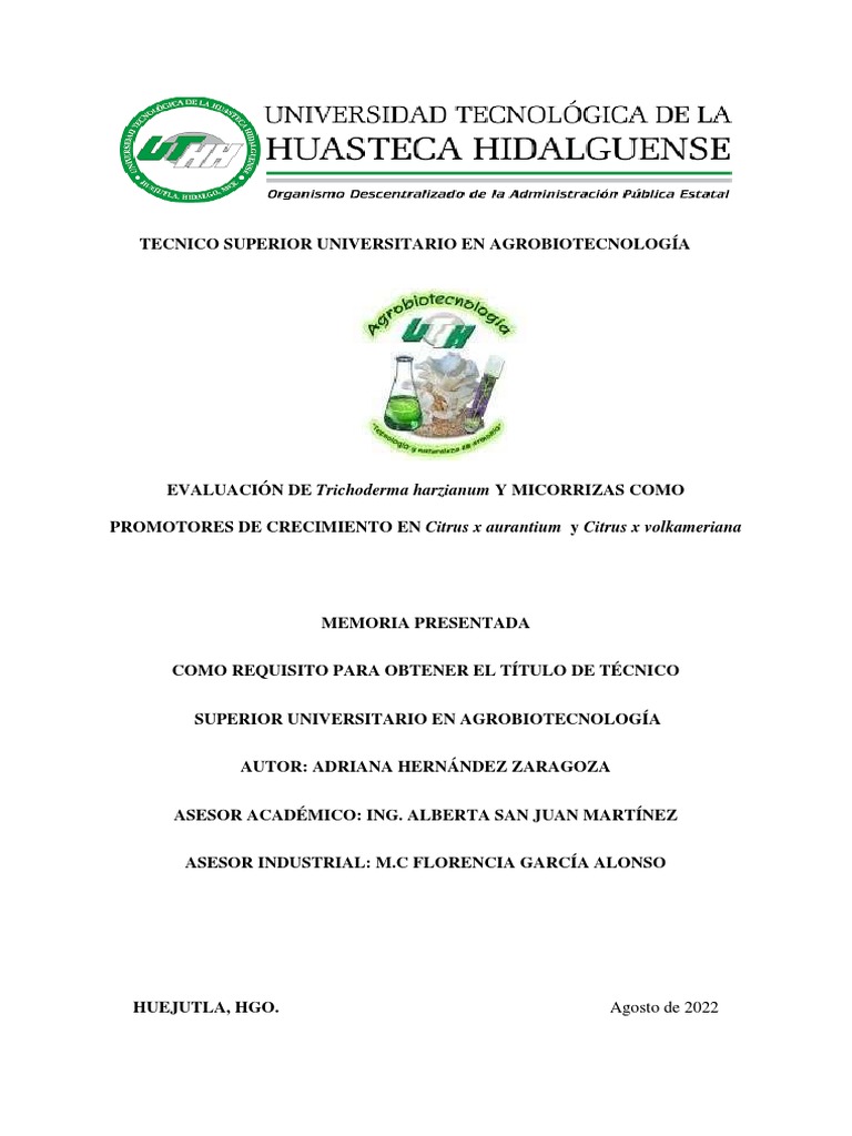 Evaluación De Trichoderma Harzianum Y Micorrizas Como Promotores De