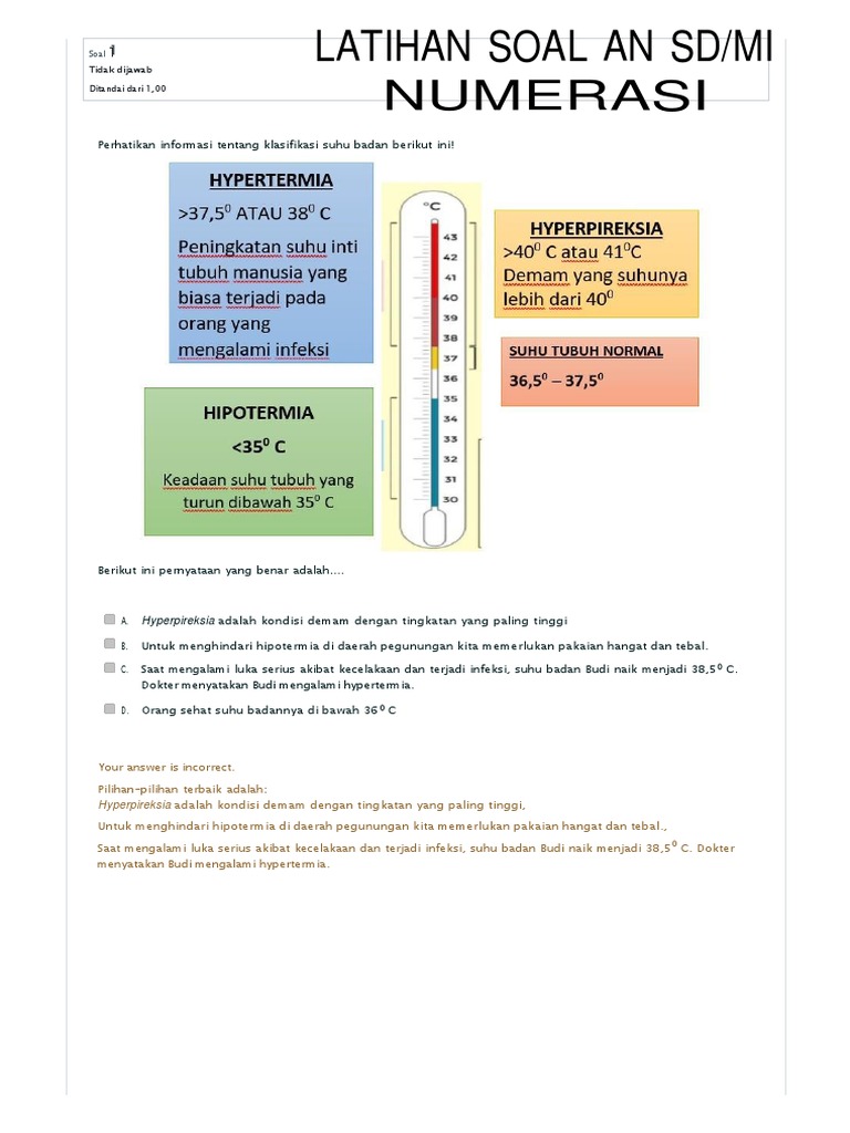 04 NUMERASI SD Ok | PDF | Metode & Bahan Ajar | Kesehatan Holistik