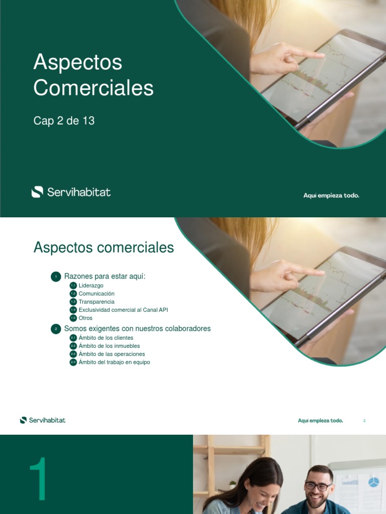 2 - Aspectos Comerciales | PDF