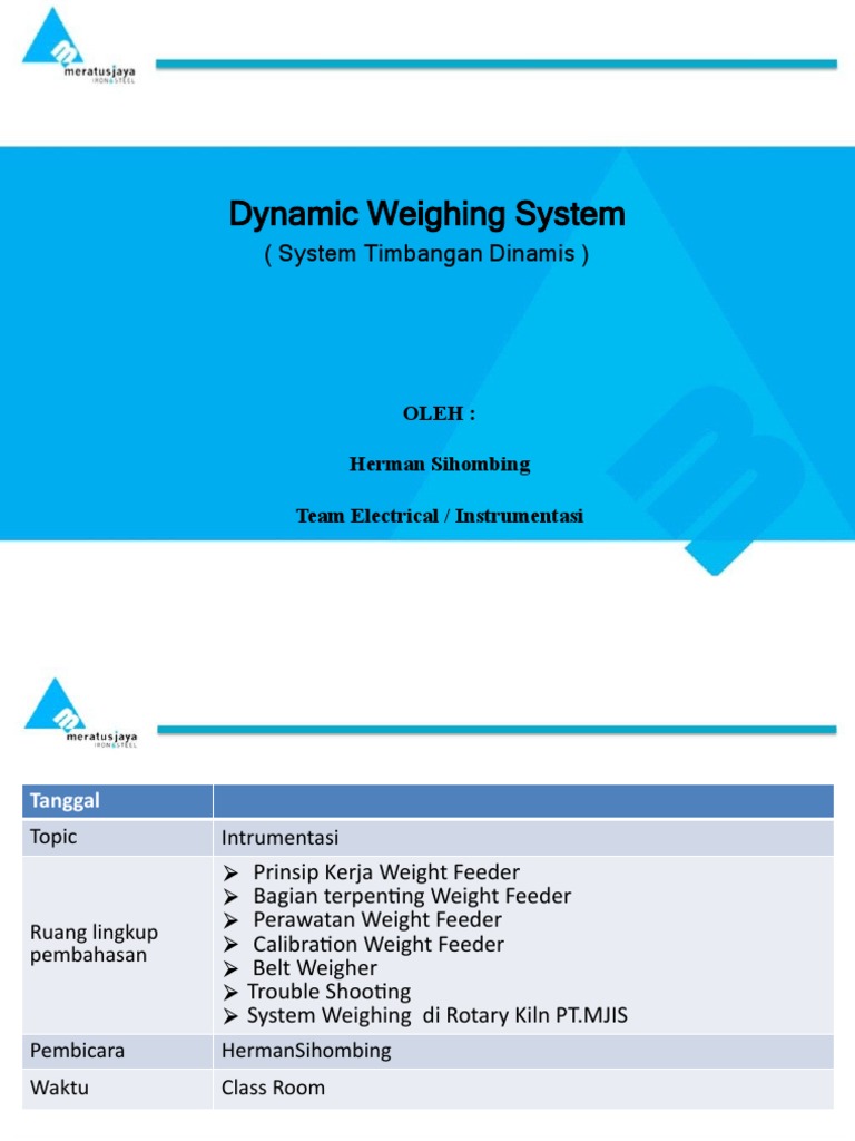 Dynamic Weighing System | PDF