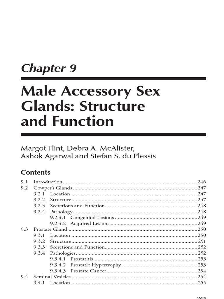 Male Accessory Sex Glands Structure And Function Pdf