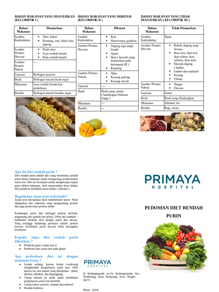 Leaflet R Purin | PDF