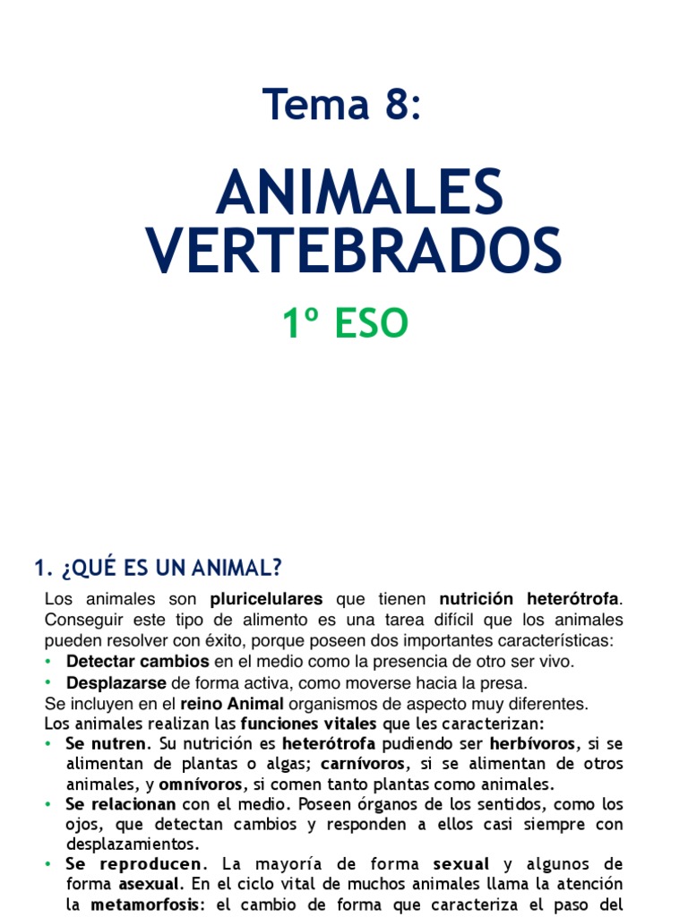 Tema 8 Animales Vertebrados | PDF | Mamíferos | Aves