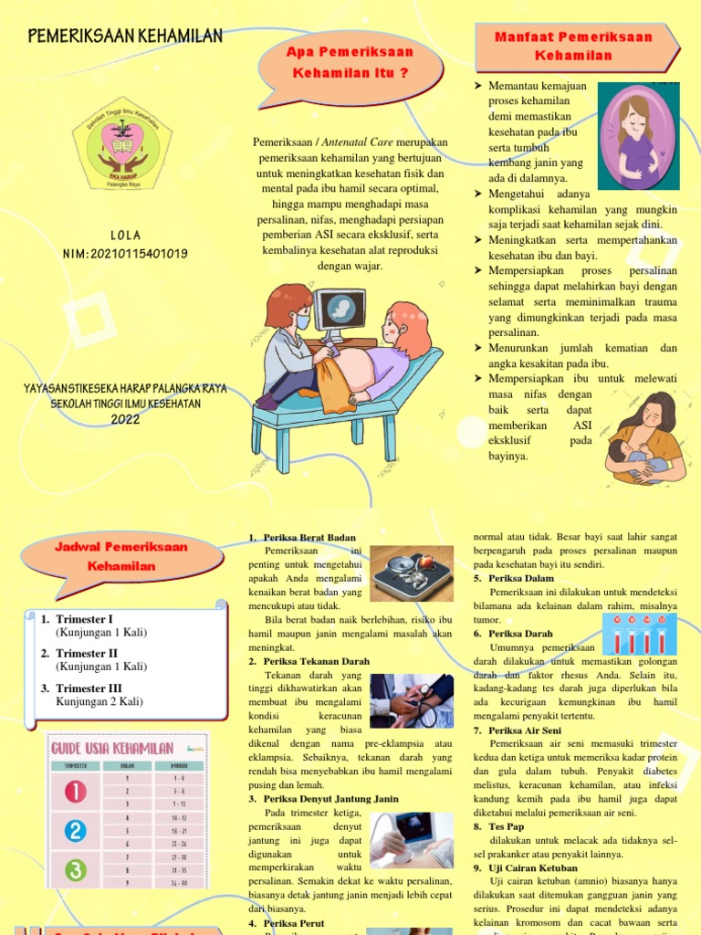 Leaflet Pemeriksaan Kehamilan | PDF