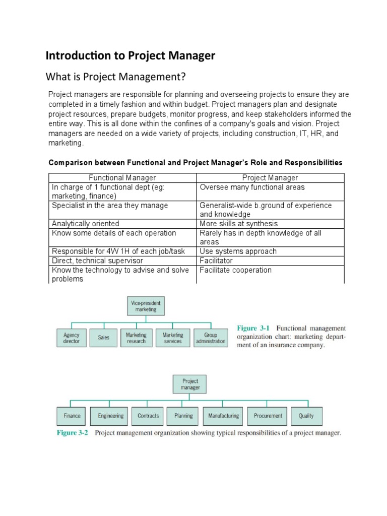 Project Manager | Download Free PDF | Project Management | Marketing