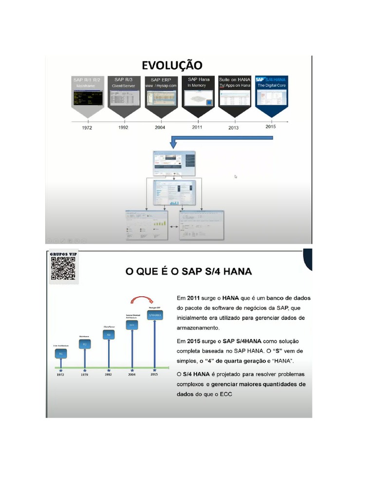 Sap Fun 3 | PDF