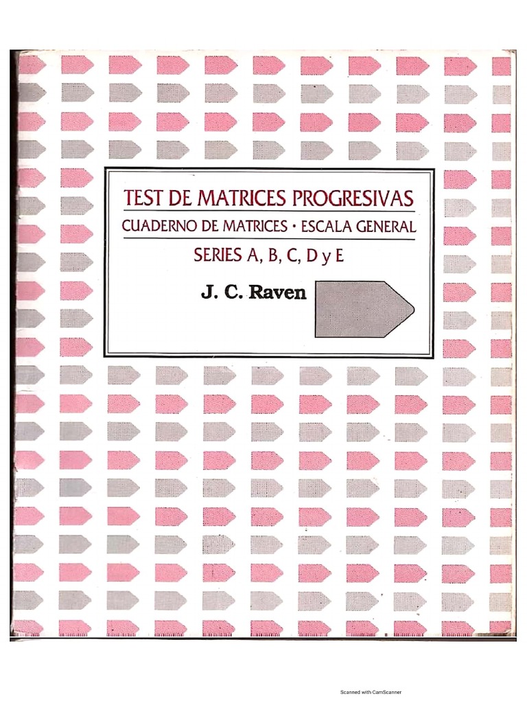 RSPM Booklet Merged | PDF