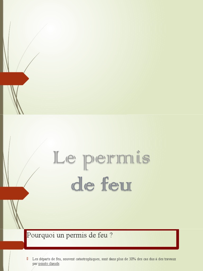 Permis Feu | PDF | Feu | La combustion
