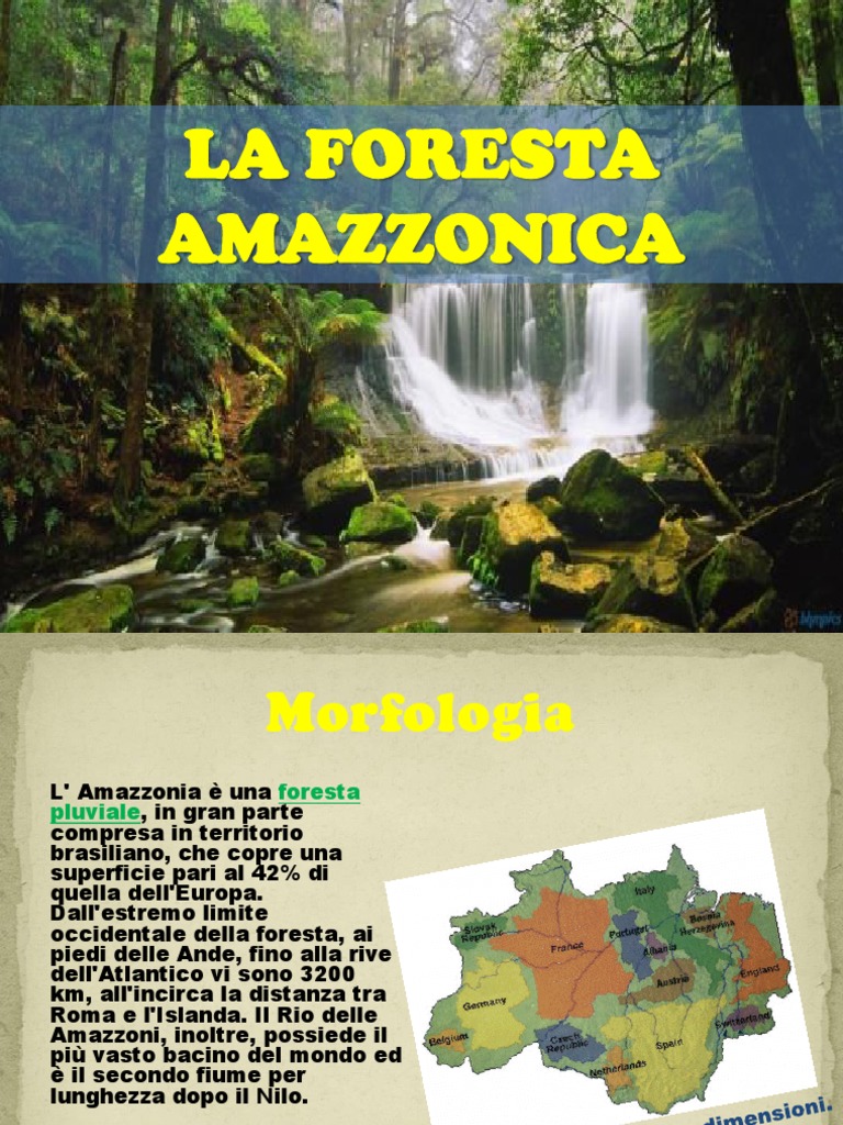 La Foresta Amazzonica | PDF
