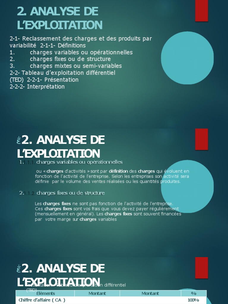 ANALYSE DE L'EXPLOITATION - TED Complet | PDF