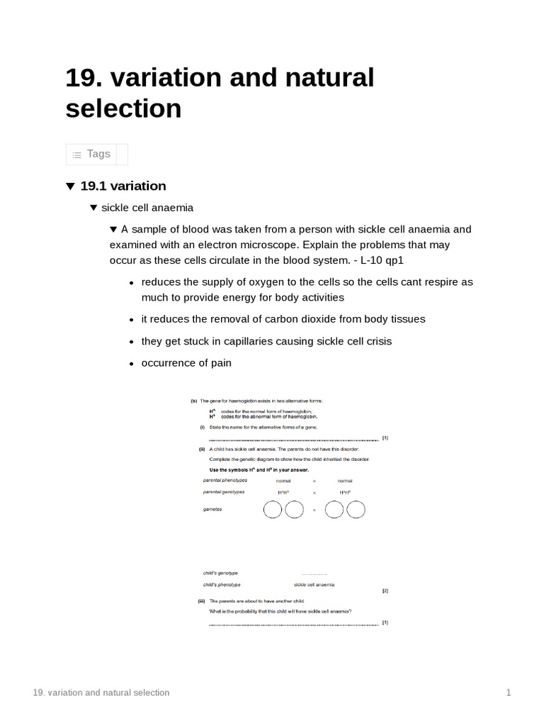 Variation - and - Natural - Selection Q&As | PDF | Mutation | Evolution