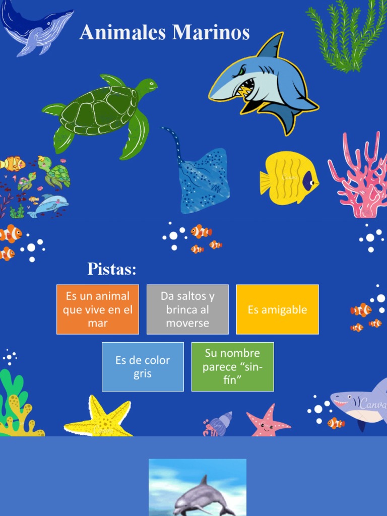 Adivinanzas Animales Marinos | PDF | Organismos