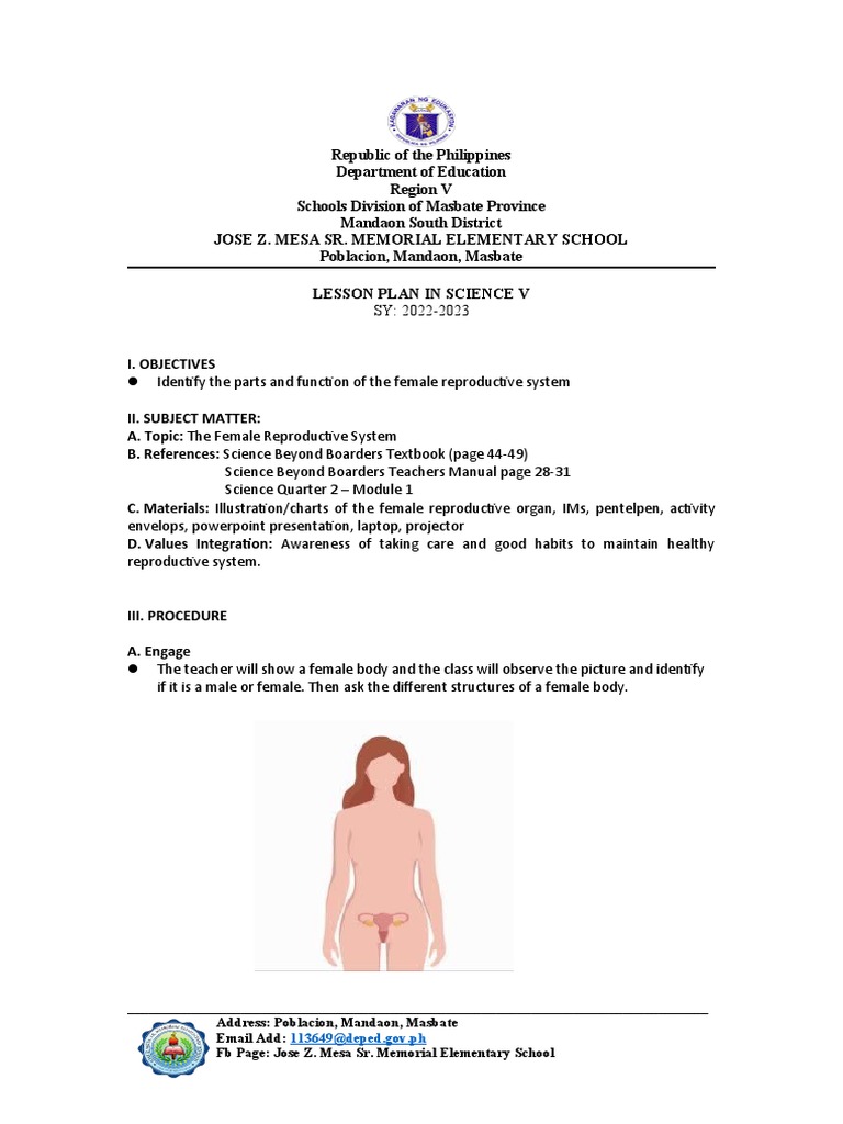 Lesson Plan in Science | PDF | Reproductive System | Uterus