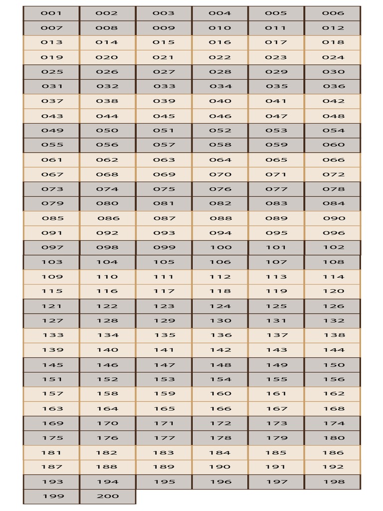 Rifa de 200 Números | PDF
