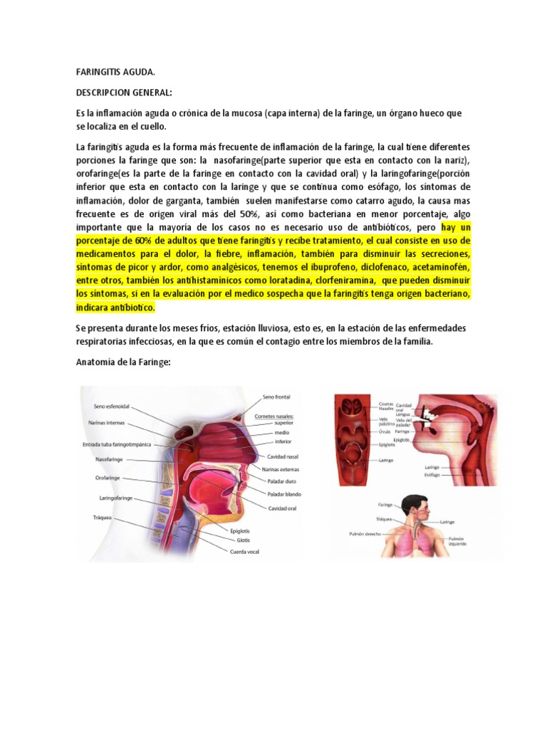 Faringitis Aguda: Causas y Tratamiento | PDF | Enfermedades y ...