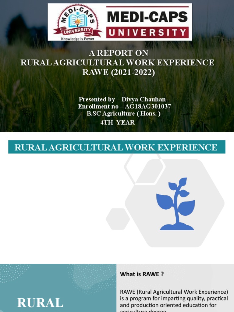 Presentation Rawe | PDF