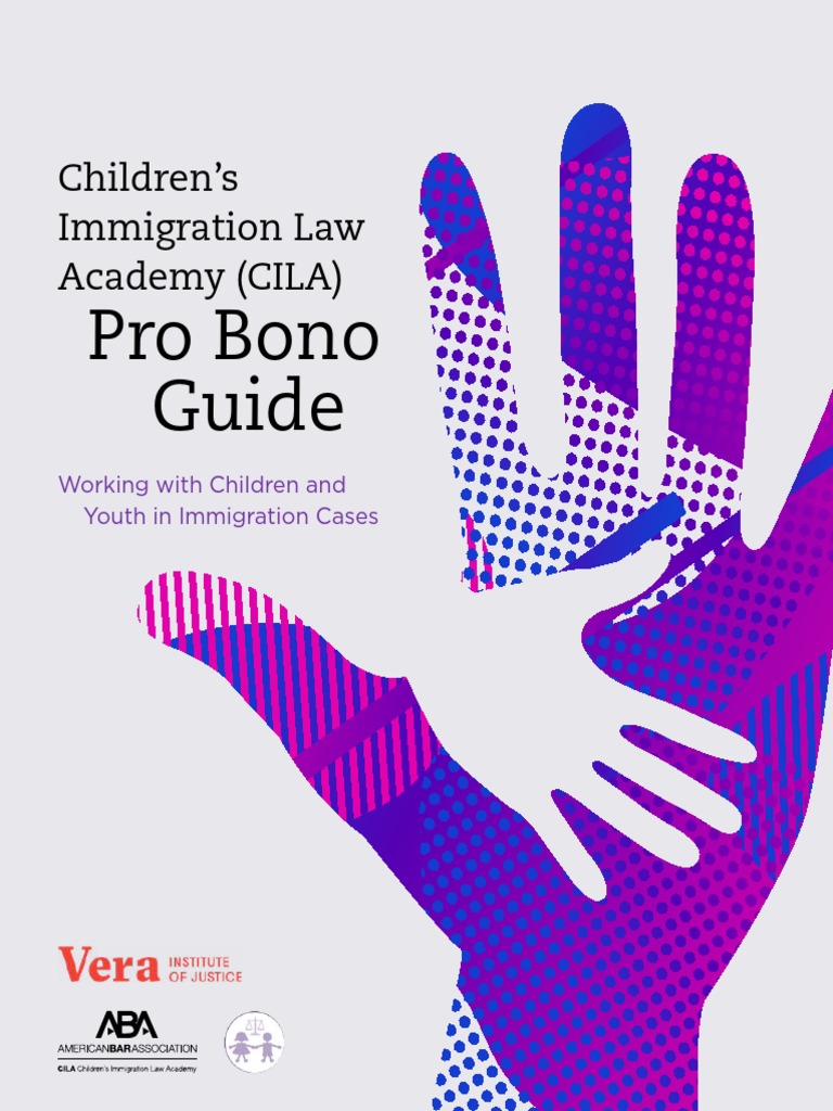 2020.08.20 CILA Pro Bono Guide | PDF | Domestic Violence | Violence