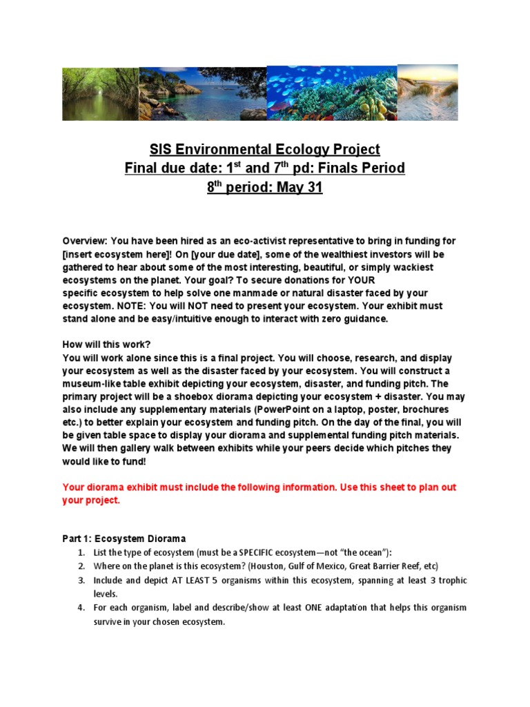 Ecosystem Diorama | PDF | Ecosystem | Natural Environment