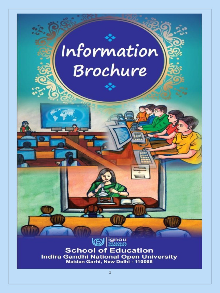 SOE Information Brochure | PDF