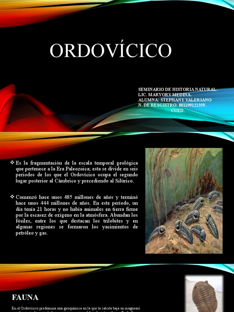 Un resumen del período Ordovícico: su fauna, flora y clima ...