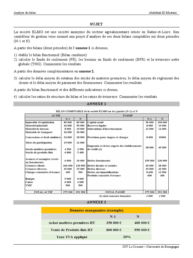Analyse des Bilans d'ELMO | PDF