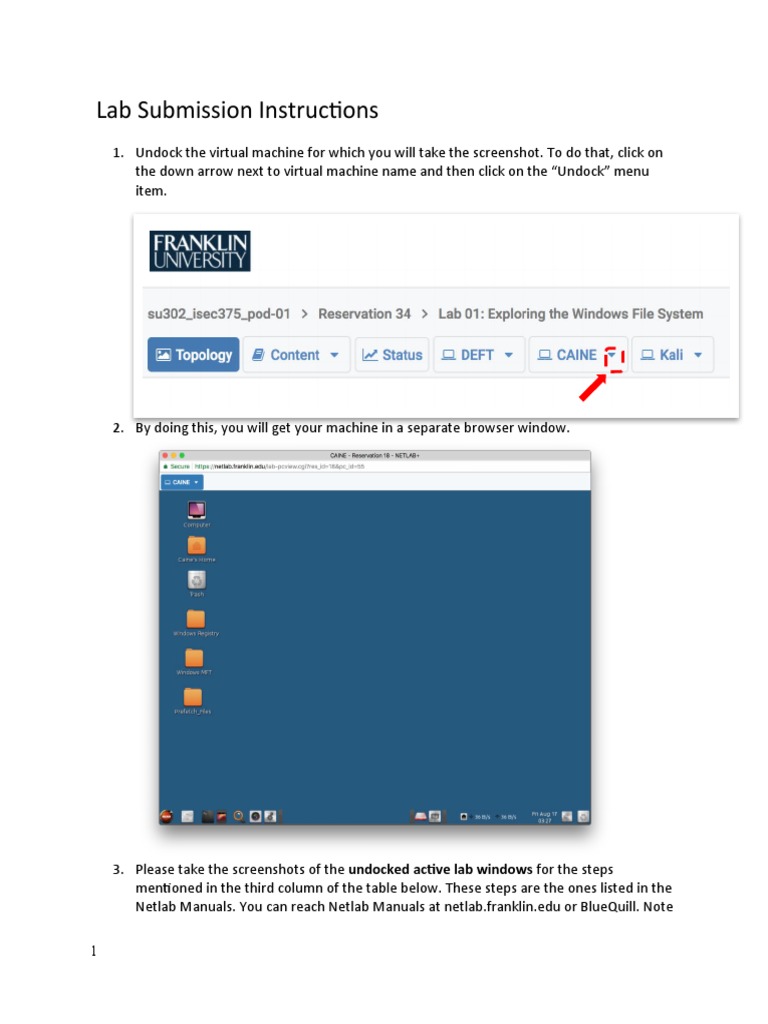 Netlab Submission Instructions | PDF | Screenshot | Software Engineering