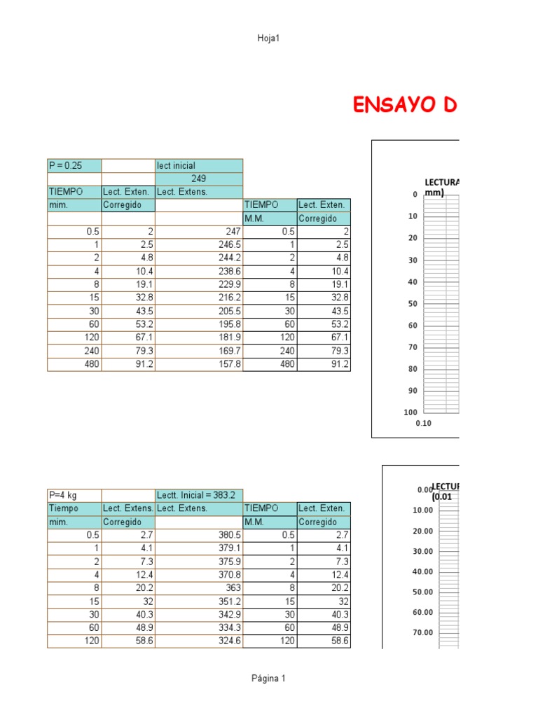 Form Consolidacion 051 | PDF