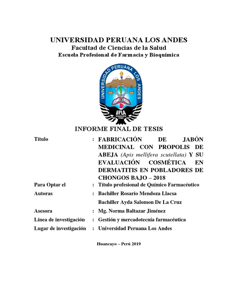 Tesis Final | PDF | Jabón | Lavado de manos