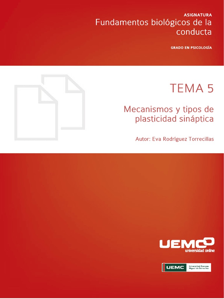 Tema 5 - Plasticidad Neural | PDF | Sinapsis | Neuroplasticidad