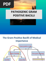 Encapsulated Vs Non Encapsulated Gram Positive Bacteria | PDF