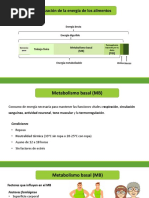 Formulario - Dietoterápico PAMI | PDF | Nutrición | Dieta y nutrición