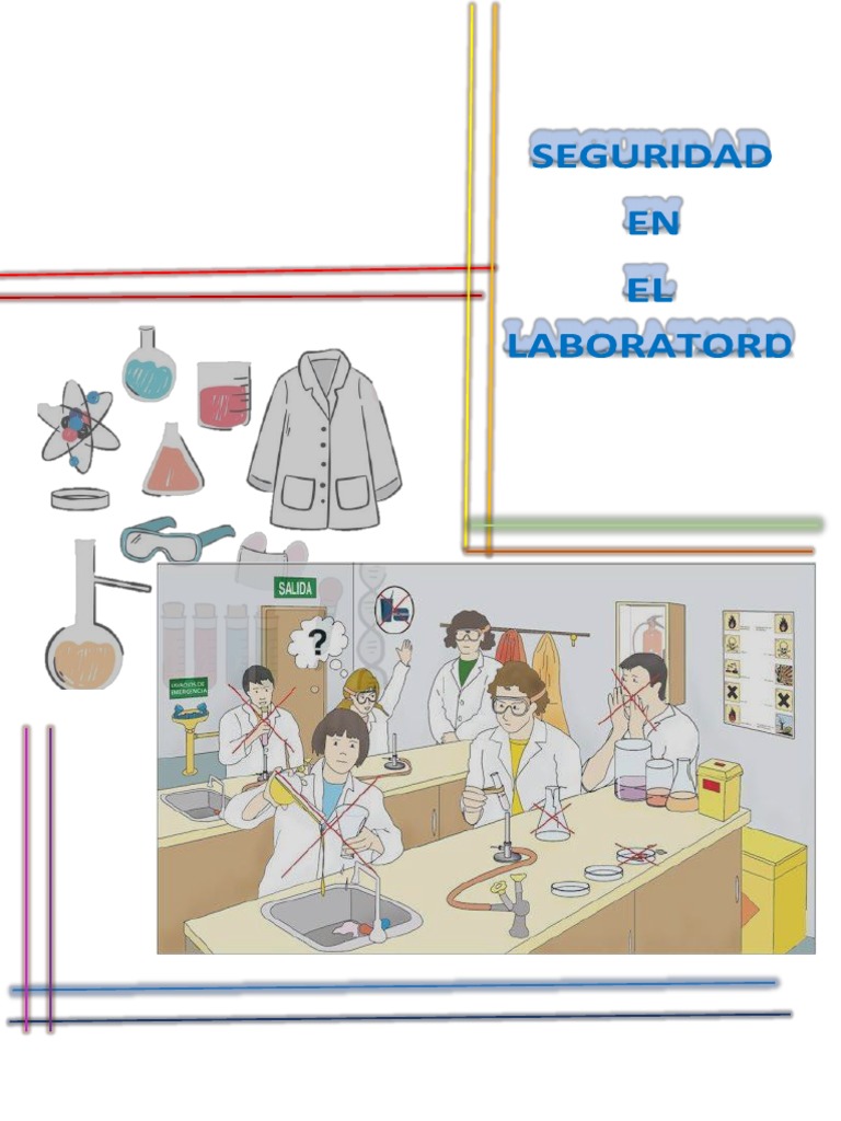 Seguridad en Laboratorio Químico | PDF | Laboratorios | Química Física