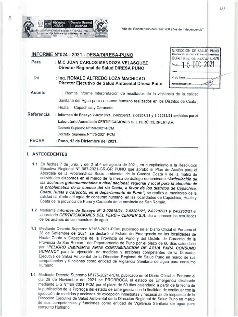 INFORME #024-2021 Diresa Puno | PDF