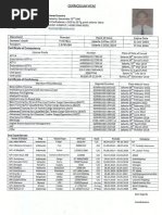 CV Deck Cadet Alexander | PDF