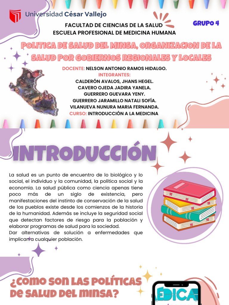 Politica de Salud Del Minsa, Organizacion de La Salud Por Gobiernos Regionales y Locales | PDF ...