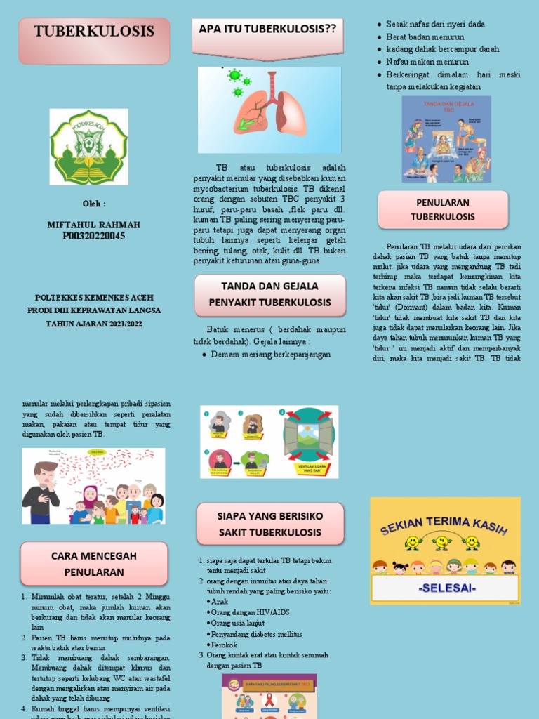 Leaflet TB | PDF