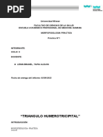 Términos de Lateralidad en Anatomía | PDF | Términos anatómicos de ...