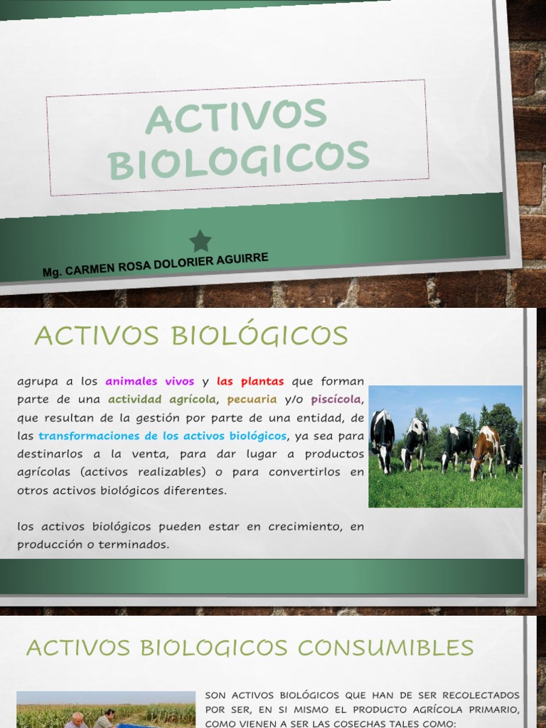 Activos Biologicos | PDF