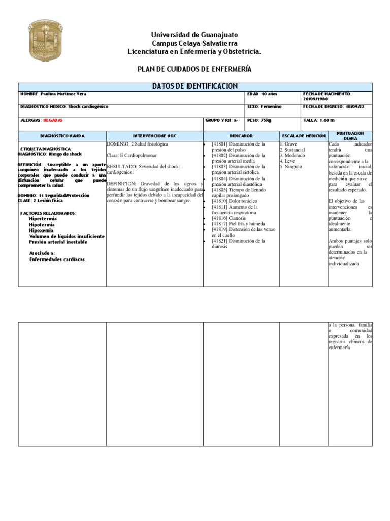 Plan de cuidados de enfermería para shock cardiogénico | PDF | Presión ...