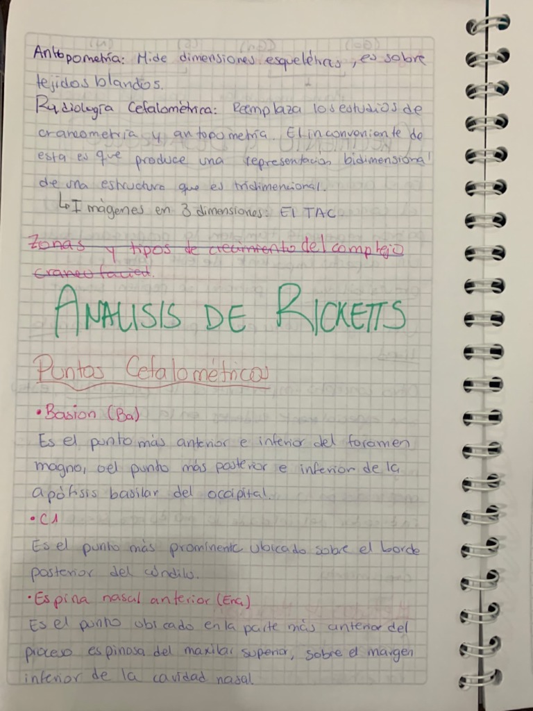 Analisis de Ricketts | PDF