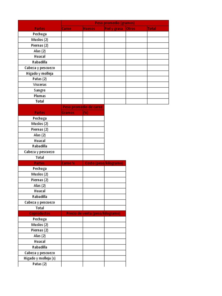 Acp Excel Equipo | PDF