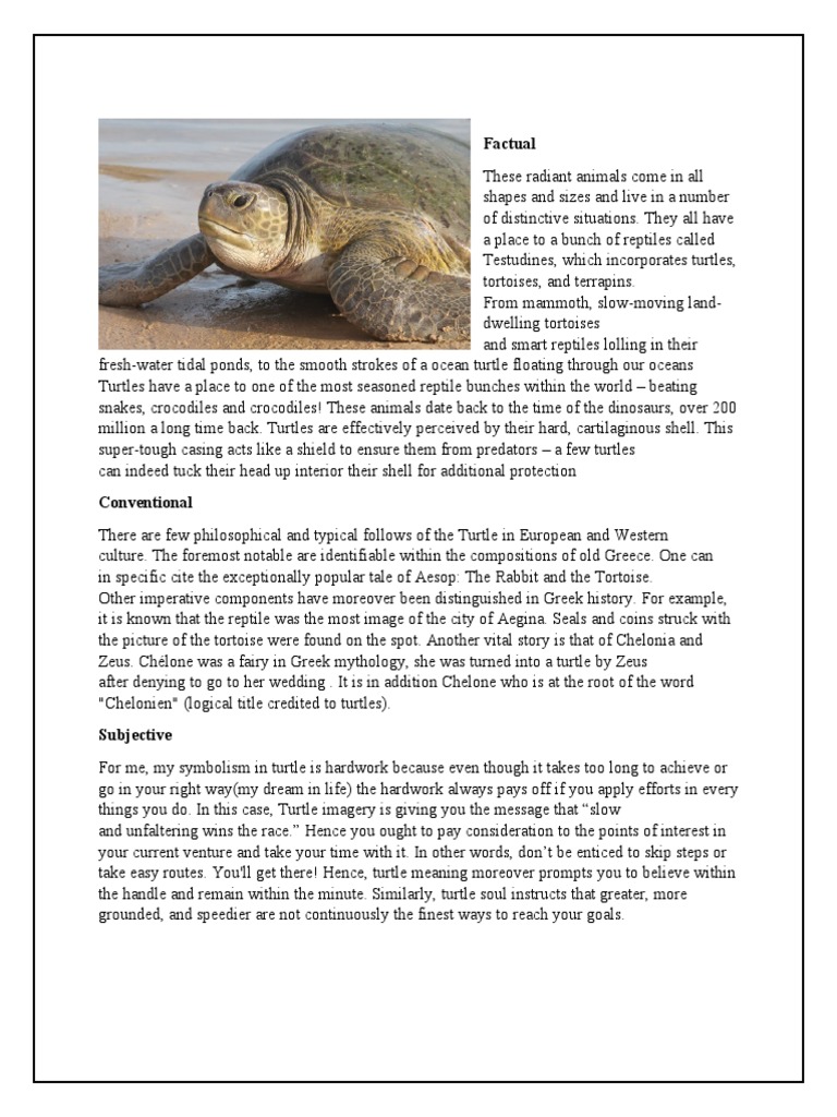 The Three Levels of Meaning | PDF