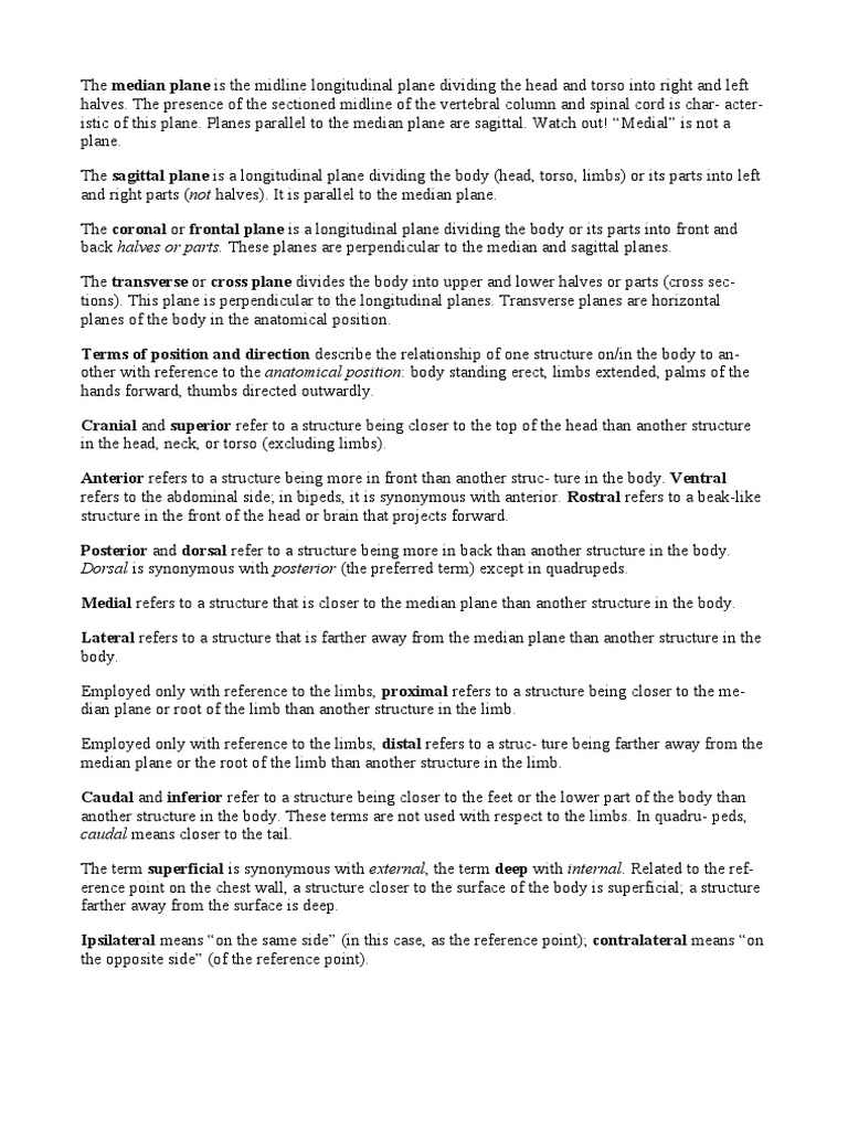 Postions Movement Bones Joints | PDF | Anatomical Terms Of Motion ...