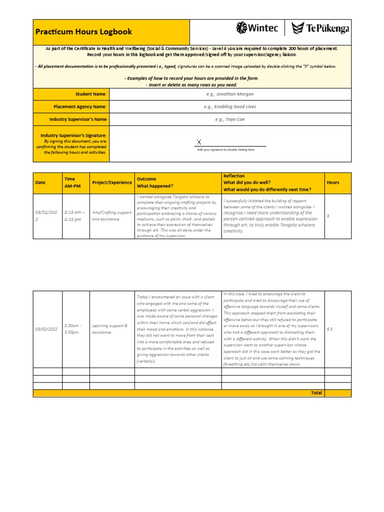 Practicum Hours Logbook | PDF