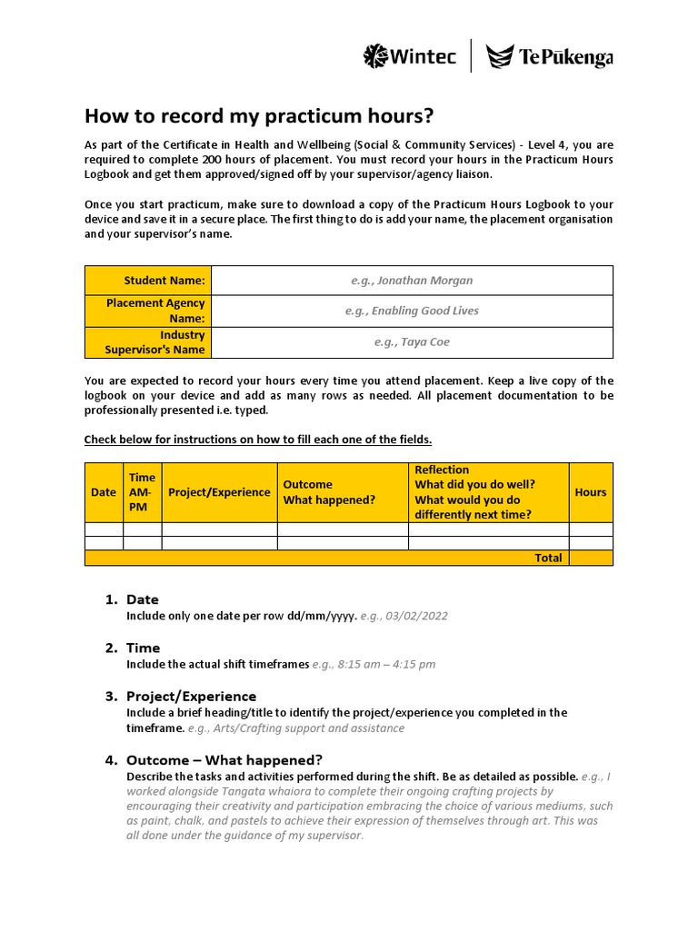 Guide - How To Record My Practicum Hours | PDF