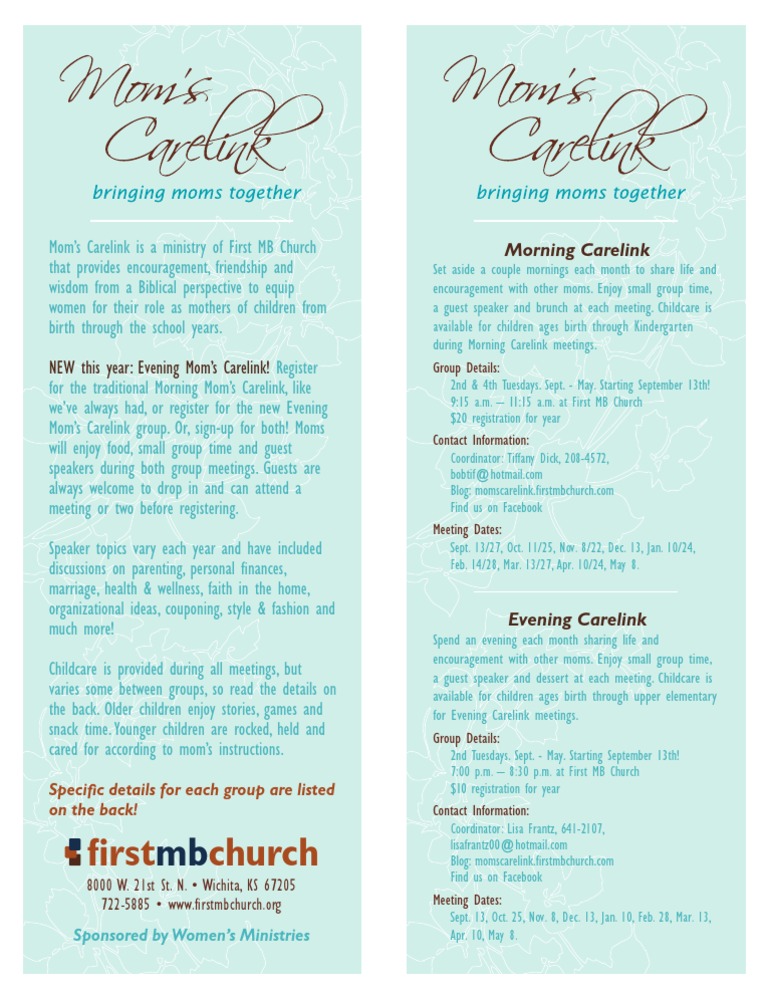 Carelink Flyer | PDF
