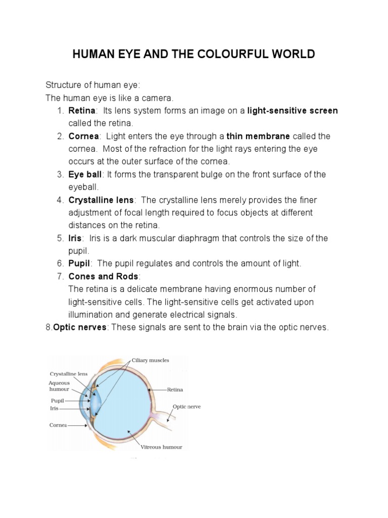 Human Eye and The Colourful World - Ncert Based Notes | PDF