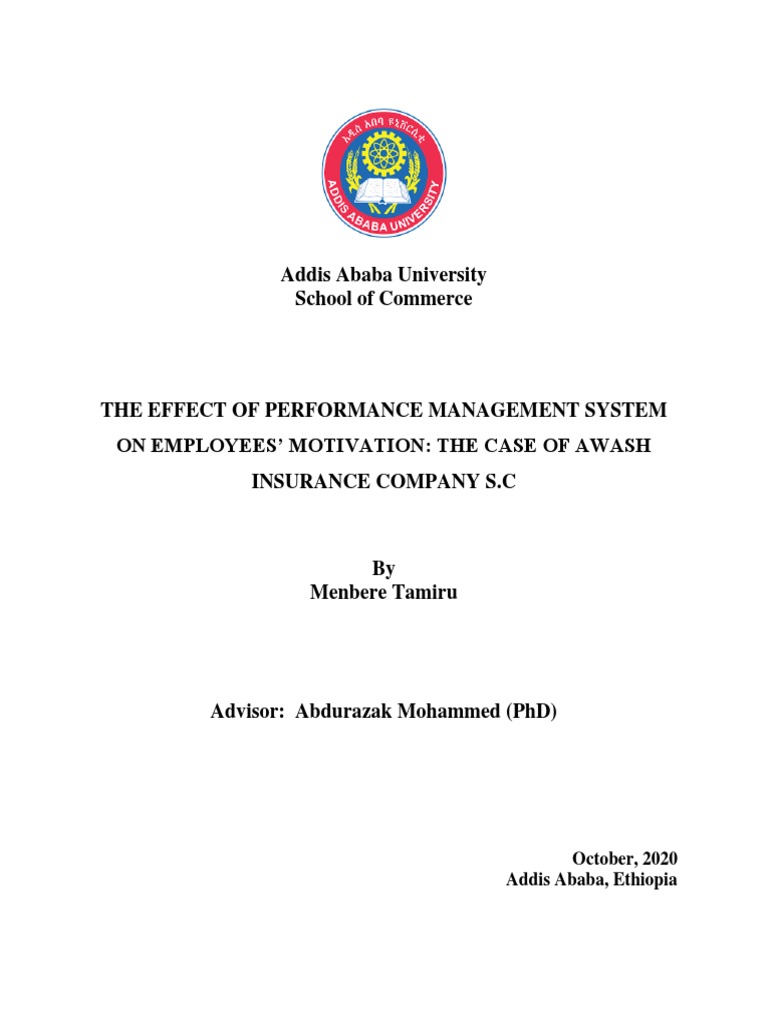 Menbere Tamiru | PDF