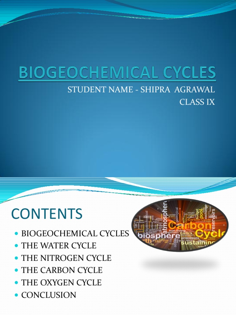 Biogeochemical Cycles | PDF | Science & Mathematics